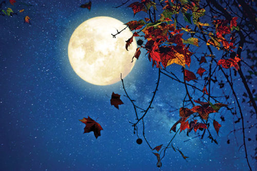 Full Moon – November 12, 2019 – Feasible and Fabulous – Conscious ...